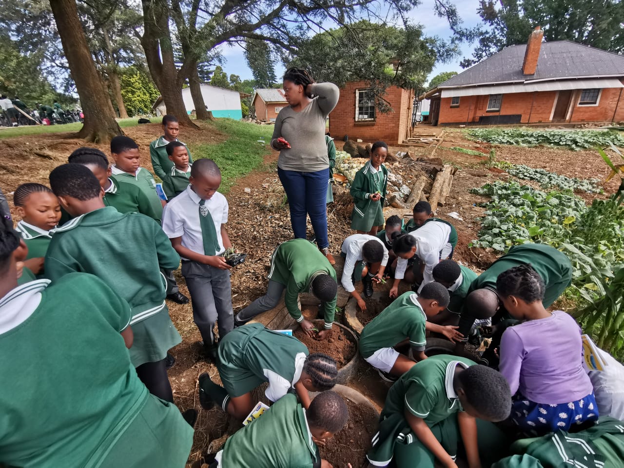 Kranskop Primary School – Emseni Farming