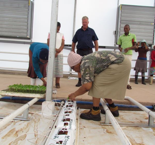 Our Journey – Emseni Farming