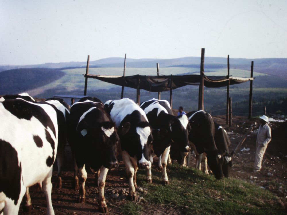 Our Journey – Emseni Farming